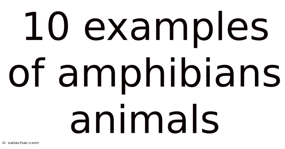10 Examples Of Amphibians Animals