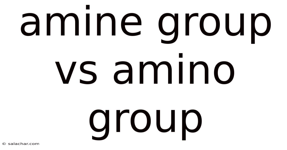Amine Group Vs Amino Group