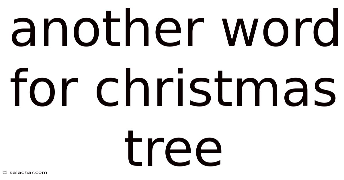 Another Word For Christmas Tree