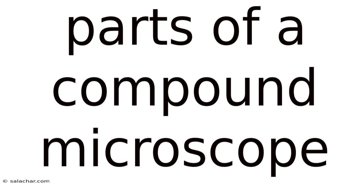 Parts Of A Compound Microscope