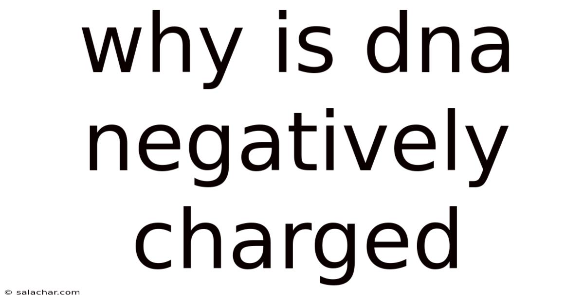 Why Is Dna Negatively Charged